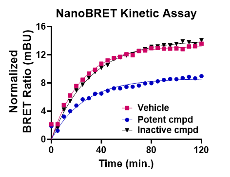 NanoBRET/NanoBiT - o2h discovery website