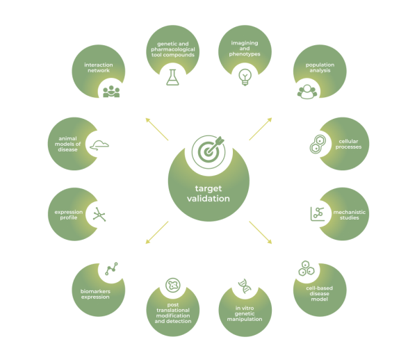 Target Identification and Validation - o2h discovery website