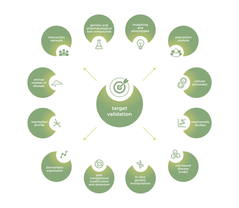 Target Identification and Validation - o2h discovery website